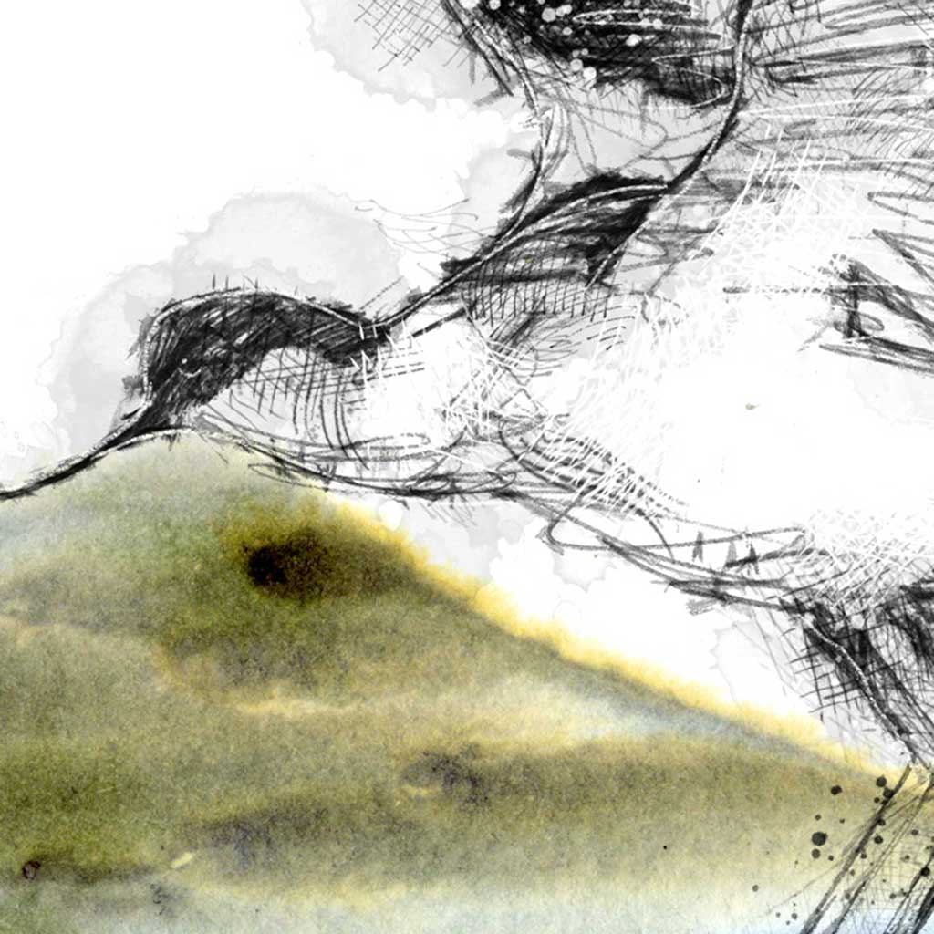 Avocet sketch | SeanBriggs