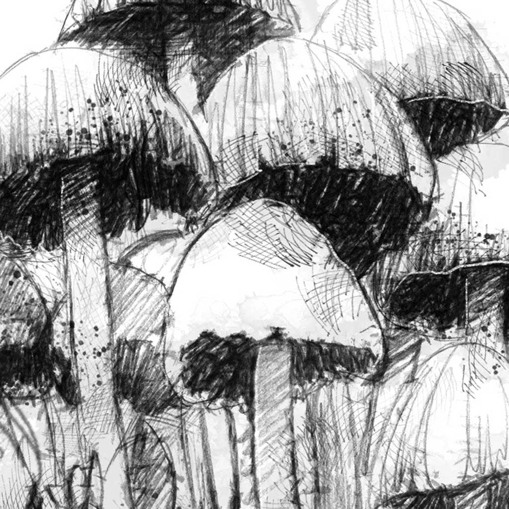 Fungi clump sketch | SeanBriggs