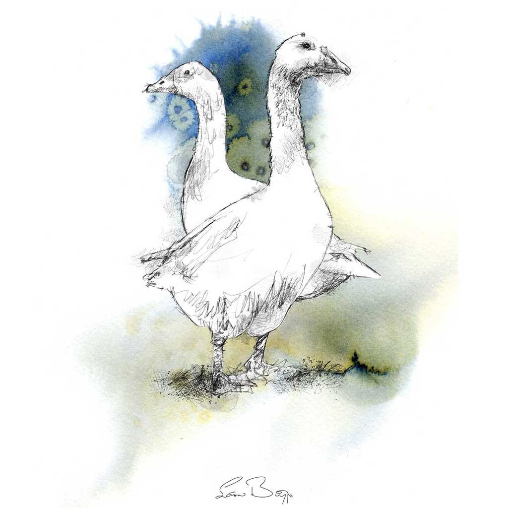 Geese sketch | SeanBriggs