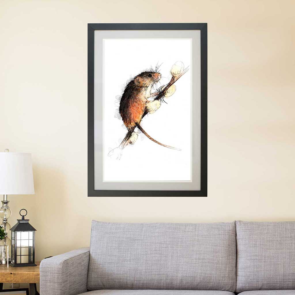 Harvest mouse colour sketch | SeanBriggs