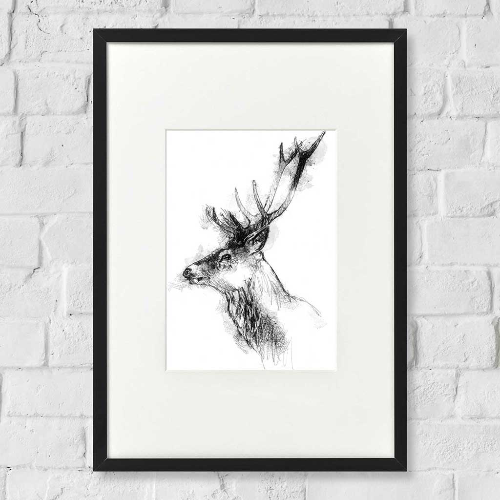 red deer sketch | SeanBriggs