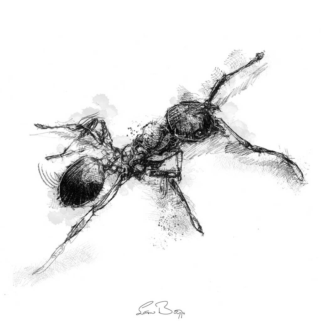 Original sketch | SeanBriggs