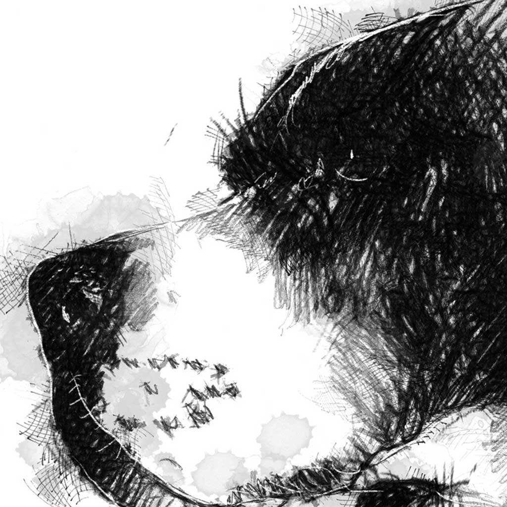 Pointer dog sketch | SeanBriggs