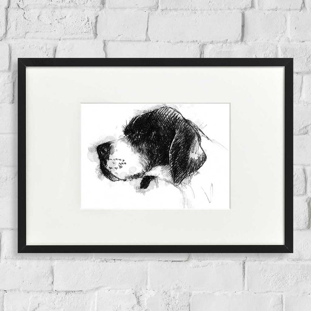 Pointer dog sketch | SeanBriggs