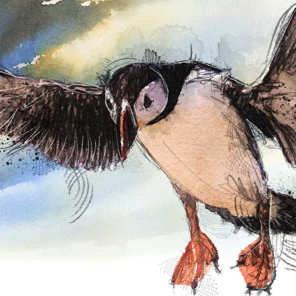 Puffin flight sketch | SeanBriggs