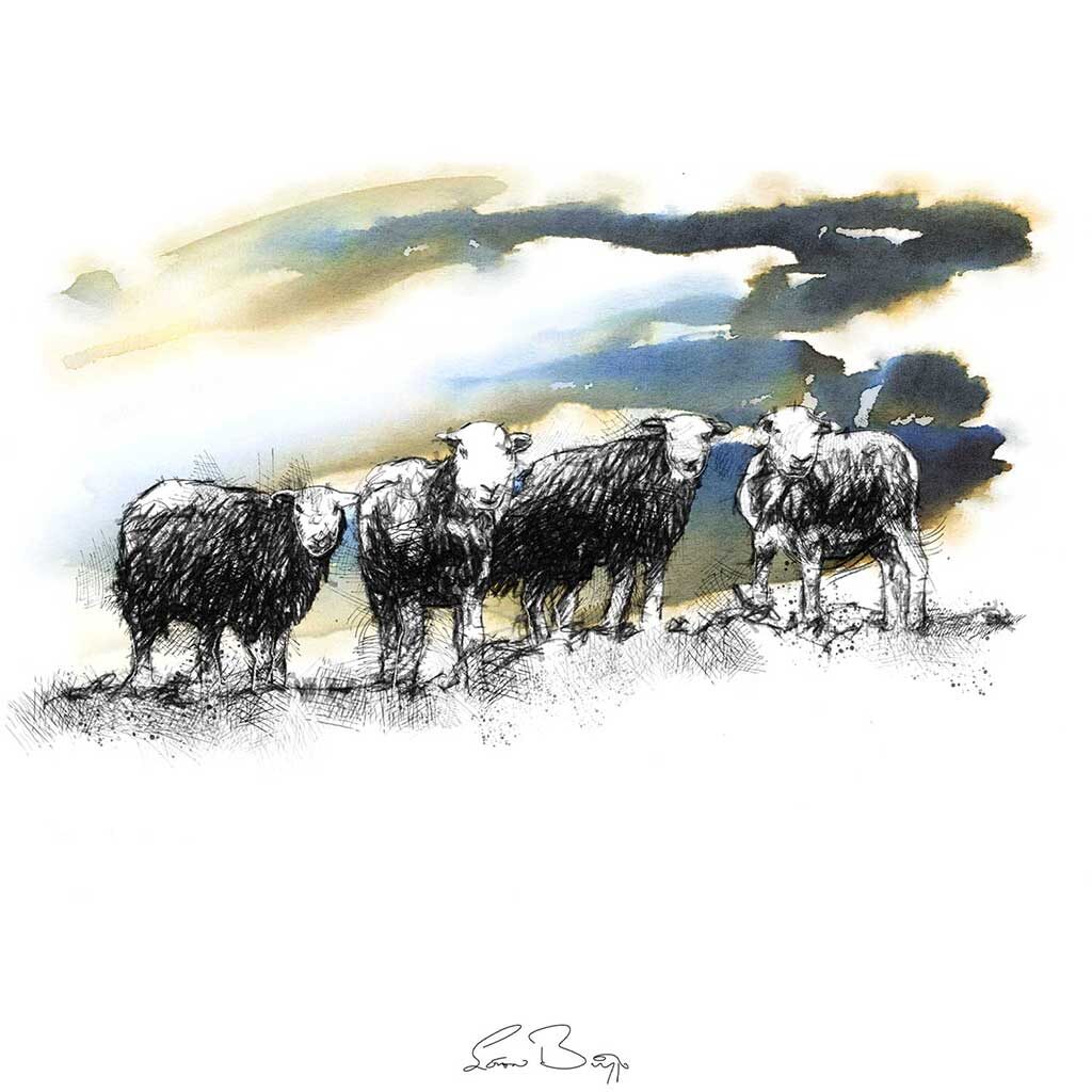 Domestic animal sketches and drawings | SeanBriggs