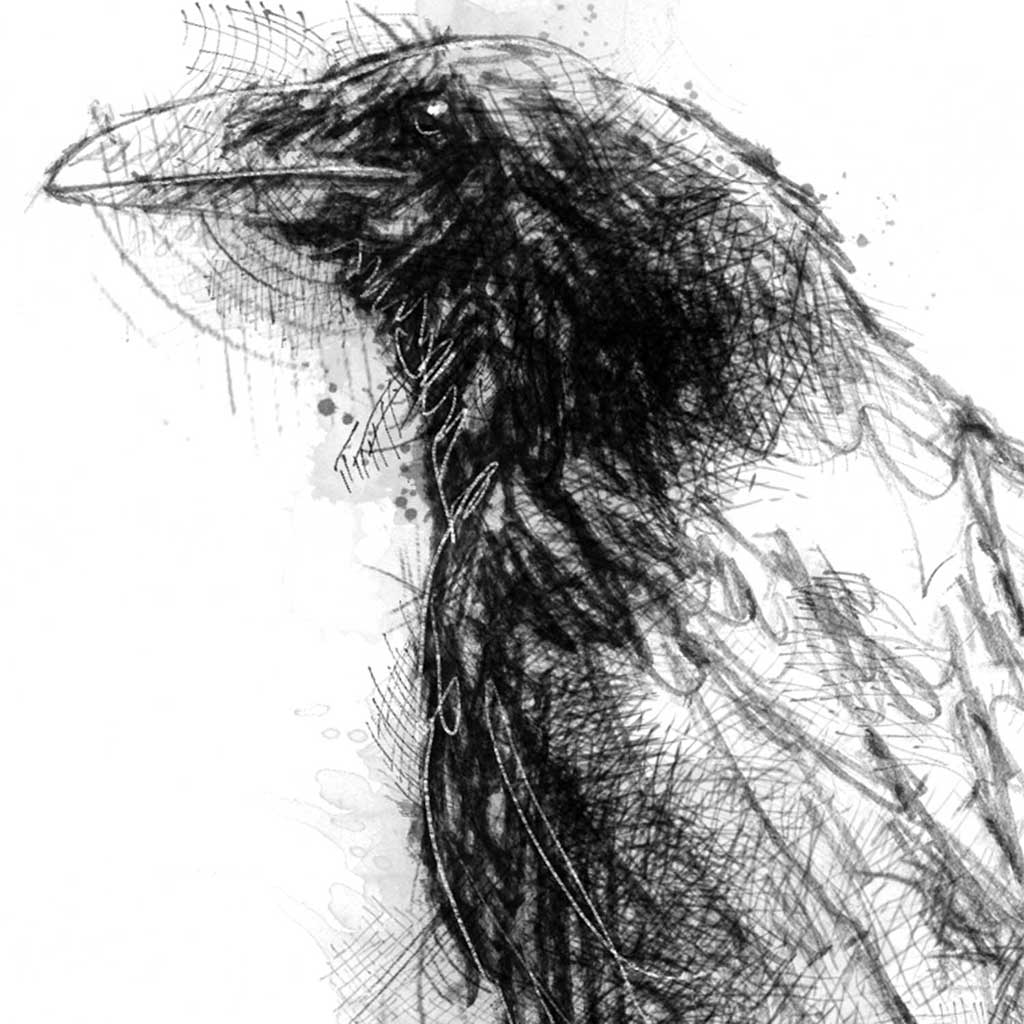 Raven perched sketch | SeanBriggs