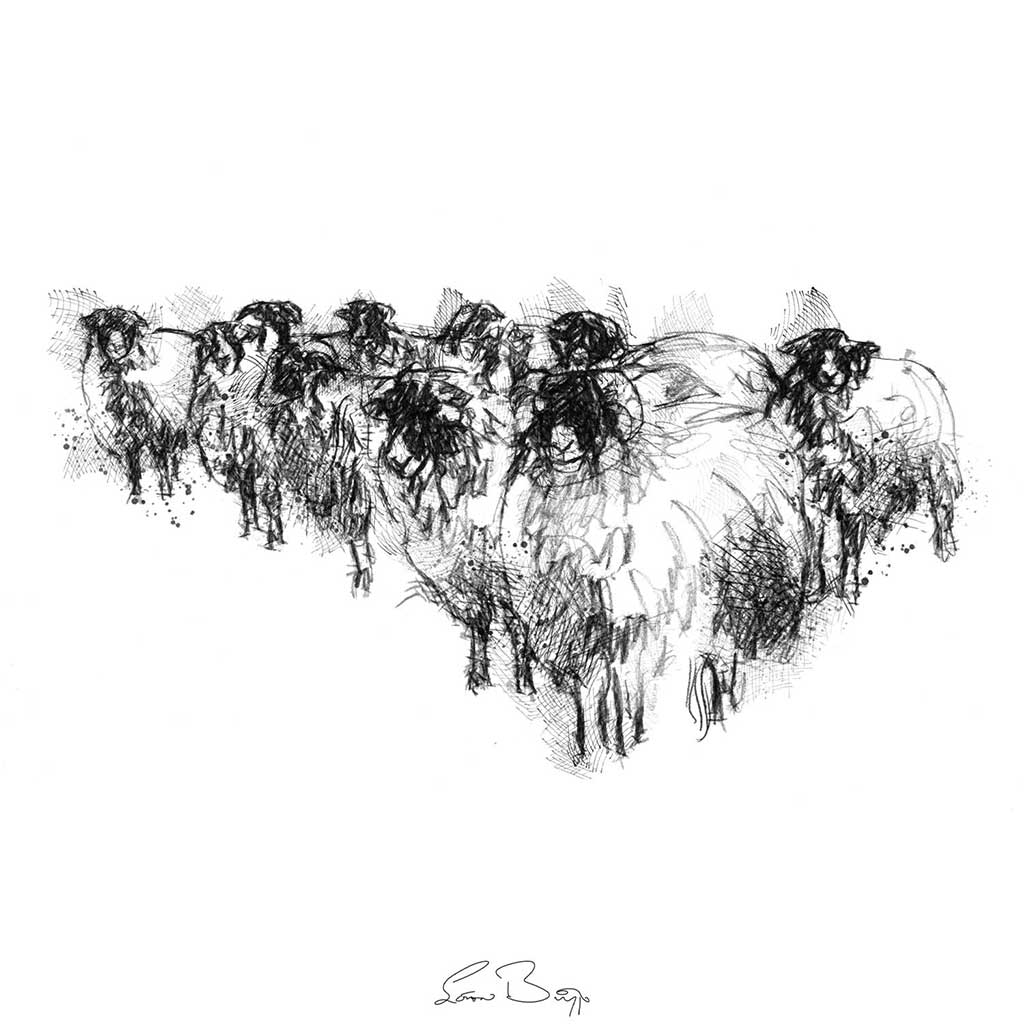 Sheep flock sketch | SeanBriggs