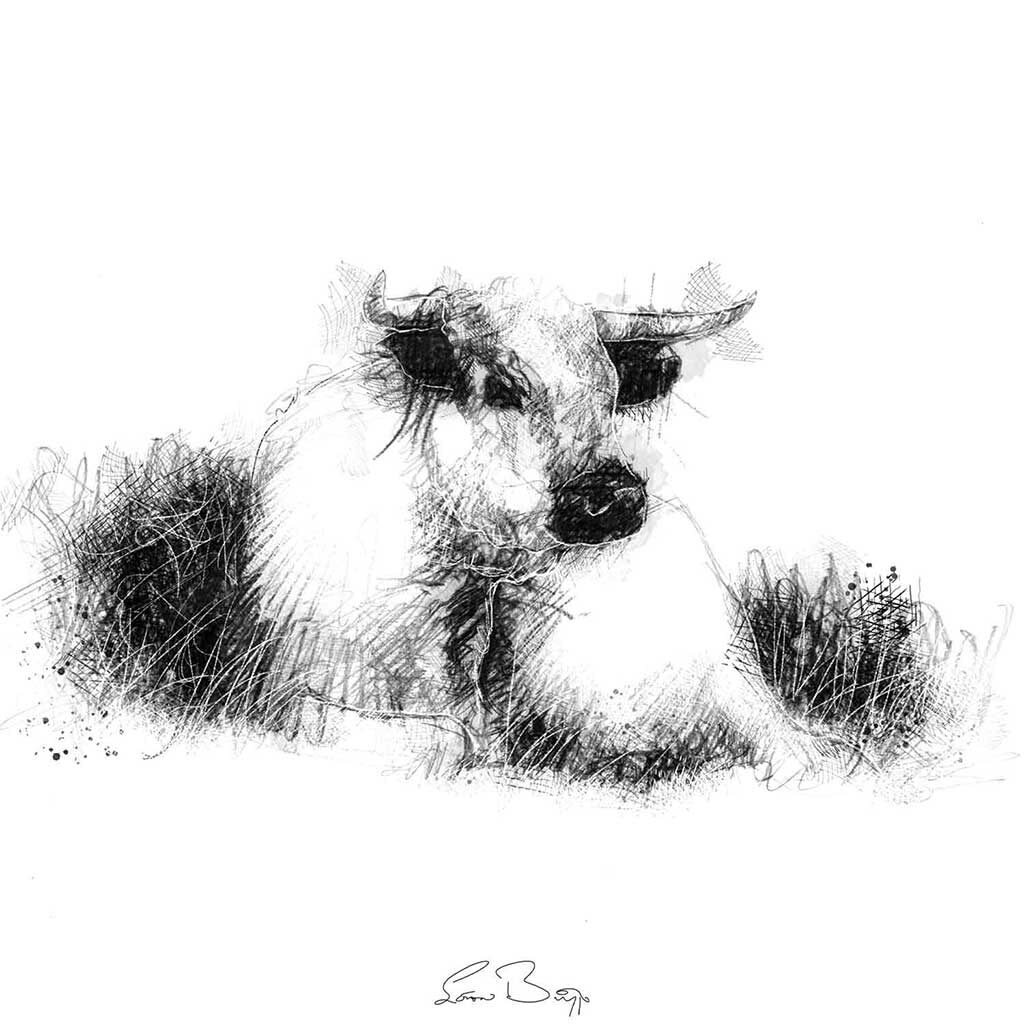 Vaynol cow sketch | SeanBriggs