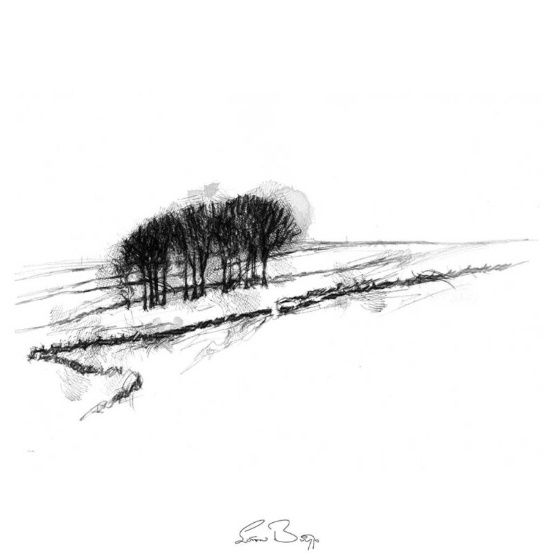 Small copse sketch | SeanBriggs