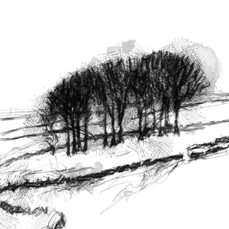 Small copse sketch | SeanBriggs