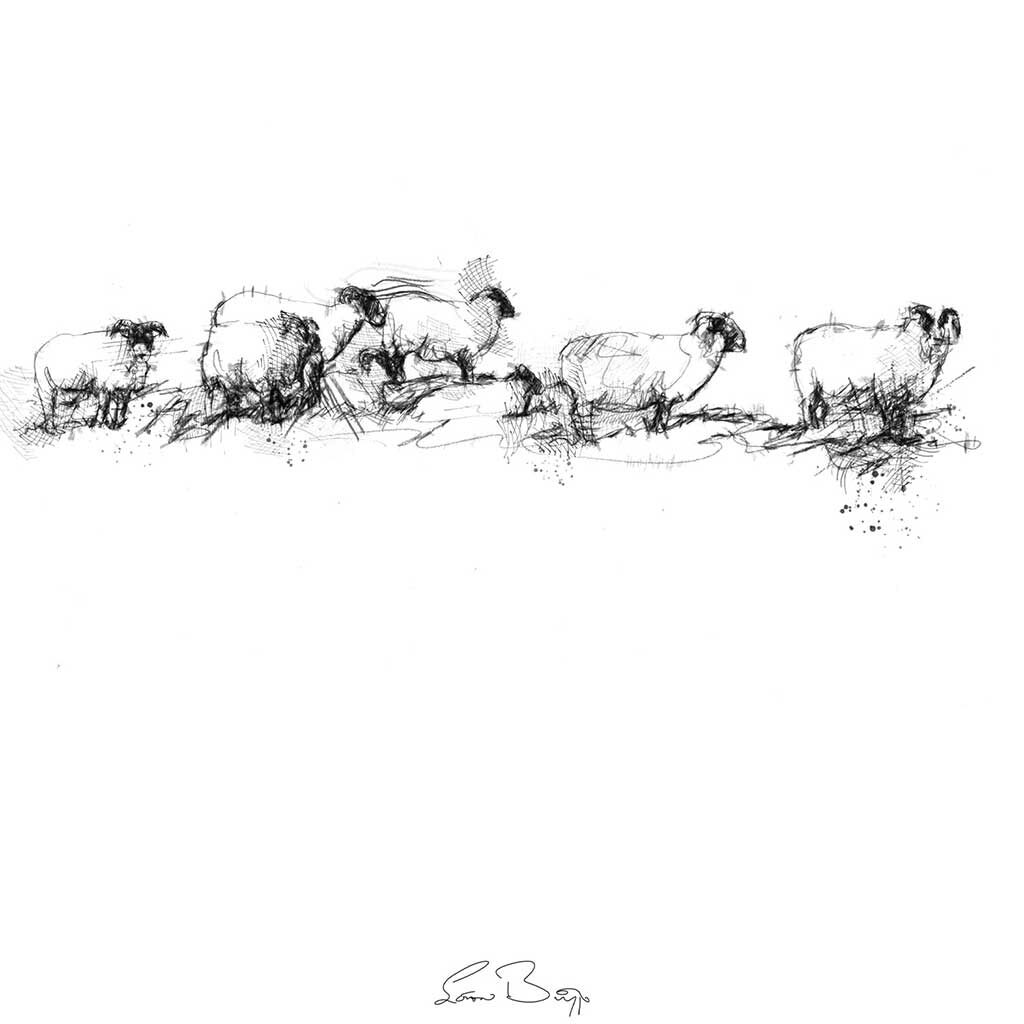 Sheep flock line sketch | SeanBriggs