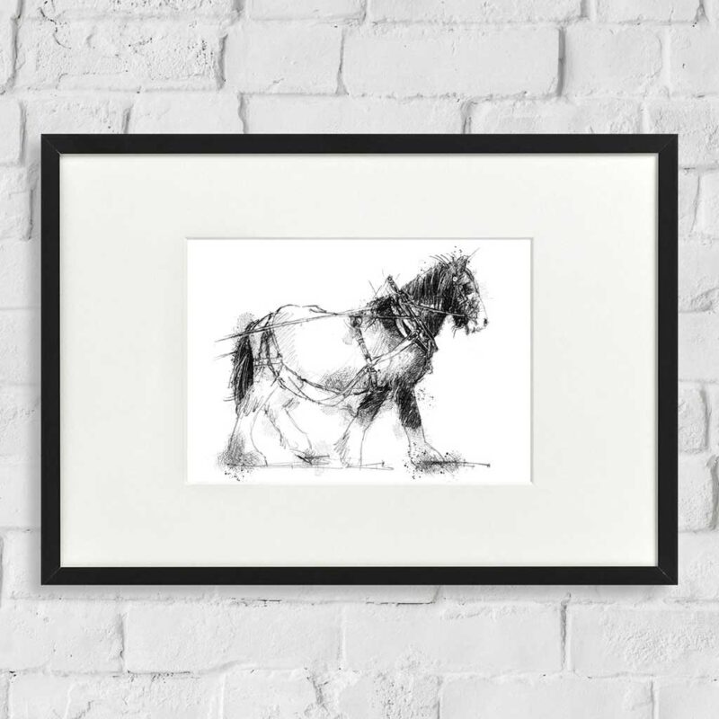 Shire horse sketch | SeanBriggs