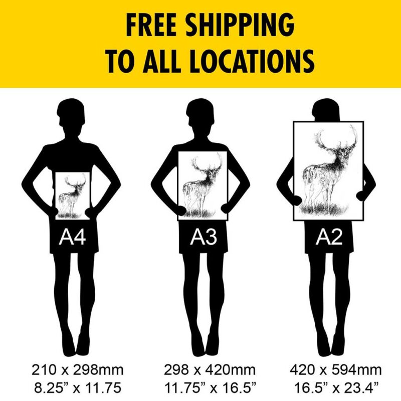 Fallow deer sketch | SeanBriggs