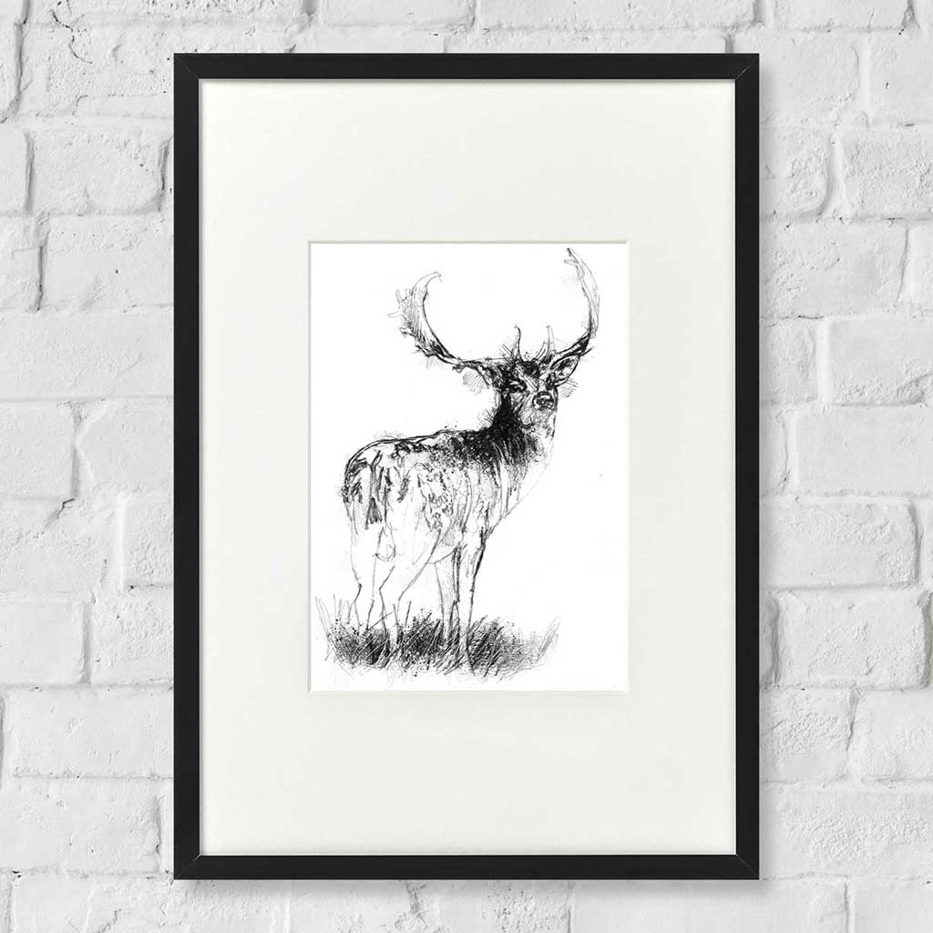 Fallow deer sketch | SeanBriggs