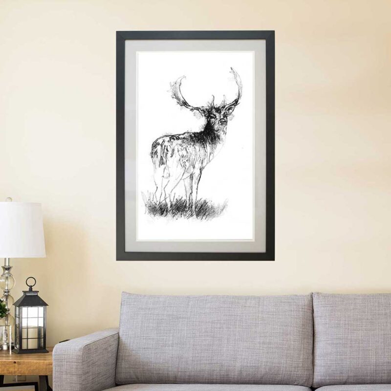 Fallow deer sketch | SeanBriggs
