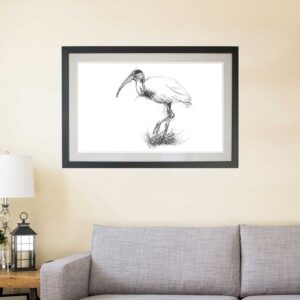 Glossy ibis sketch | SeanBriggs