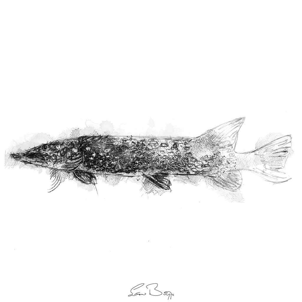 Mini beast sketches and drawings | SeanBriggs