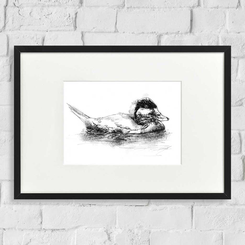 Rudy duck sketch | SeanBriggs