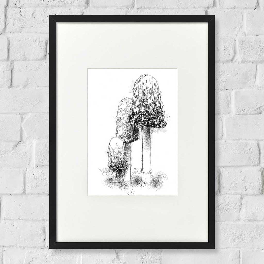 Shaggy ink cap sketch | SeanBriggs