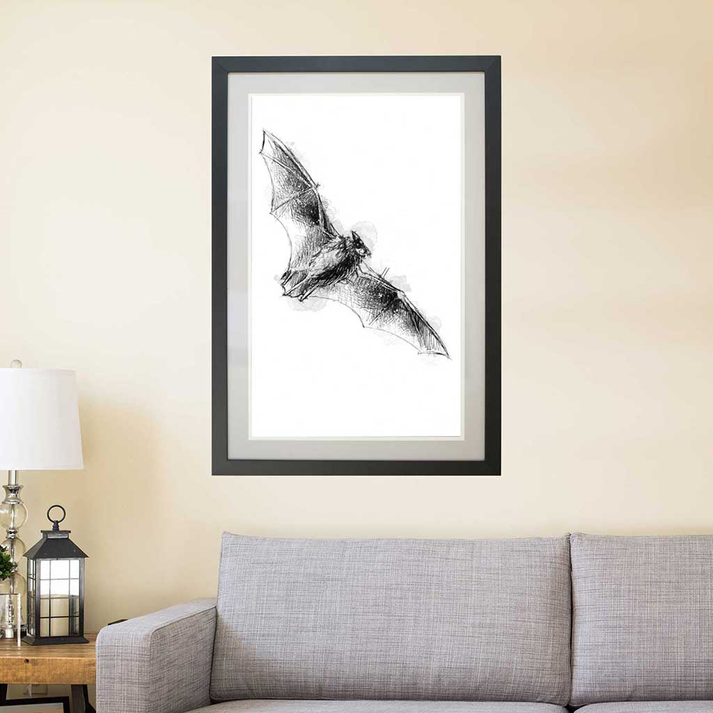 Serotine bat sketch | SeanBriggs