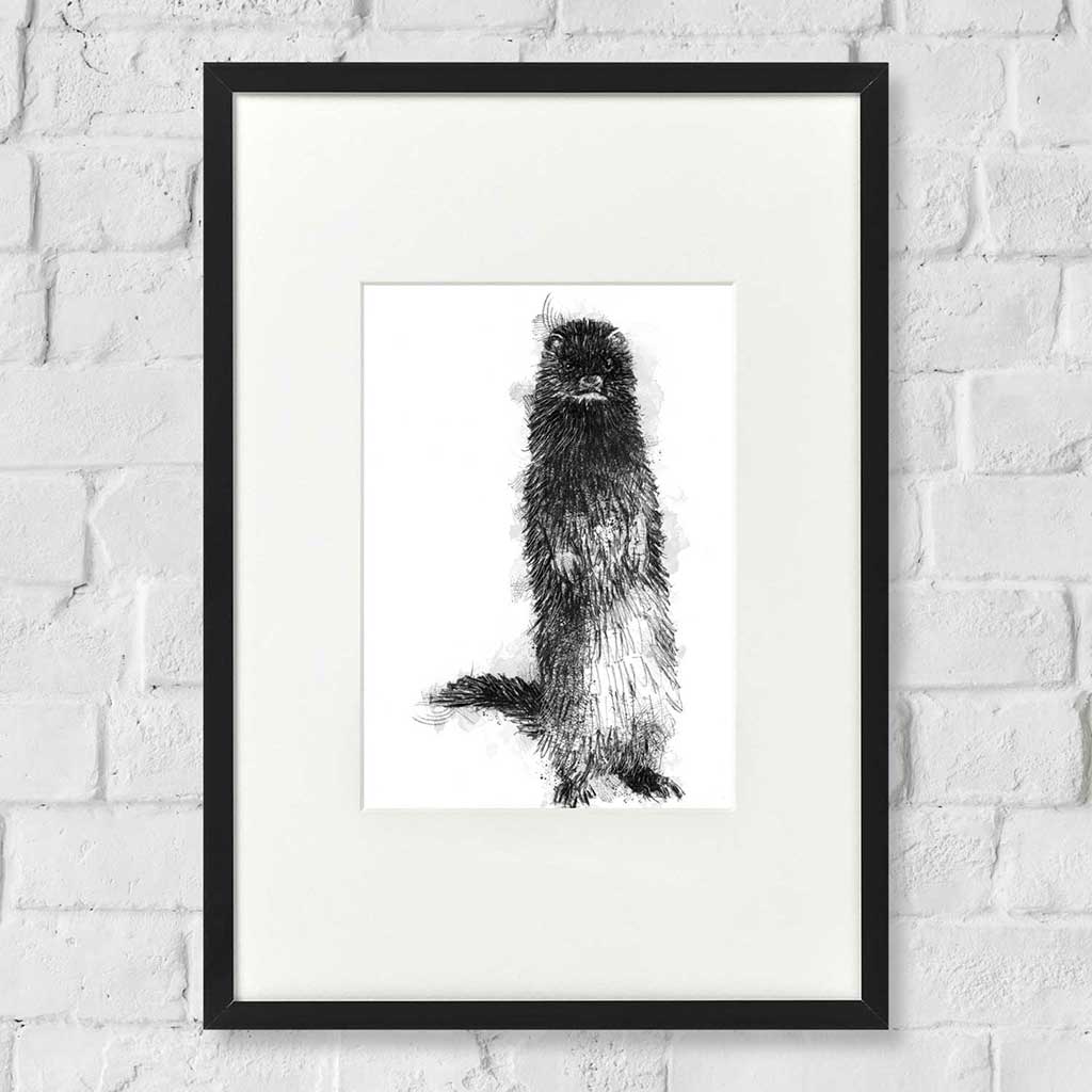 American mink sketch | SeanBriggs