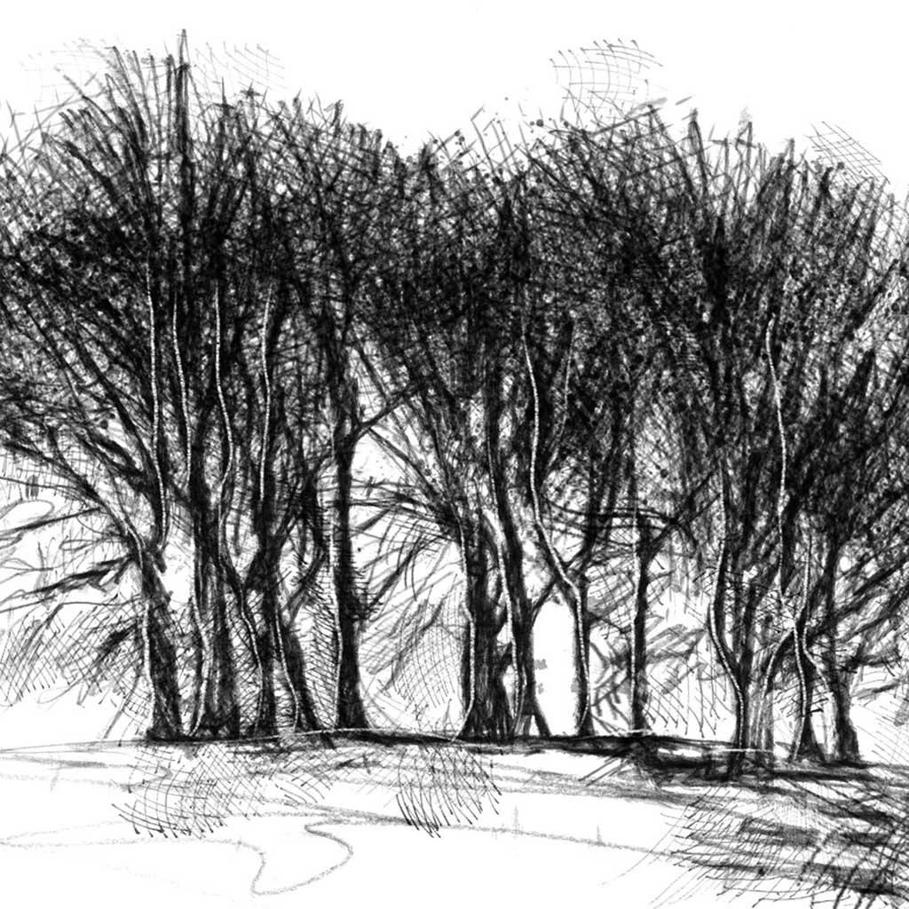 Copsesketch | SeanBriggs