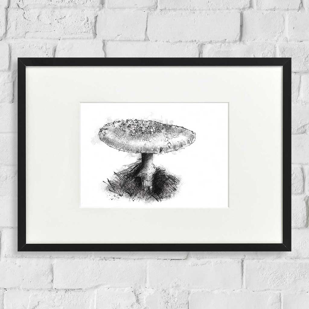 Toadstool sketch | SeanBriggs